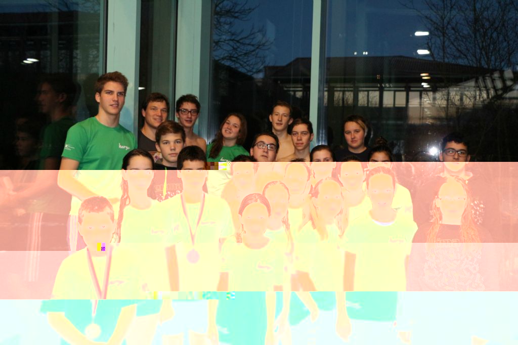 delphin77.de - News der Trainingsgemeinschaft DLRG - Delphin77 ...