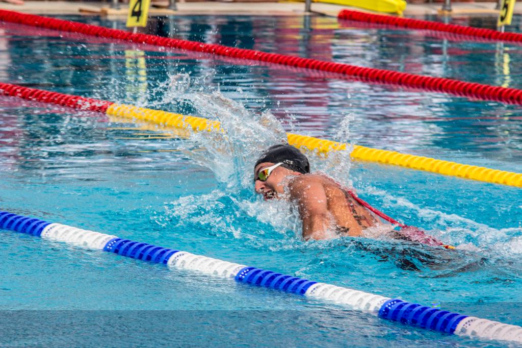 delphin77.de - News der Trainingsgemeinschaft DLRG - Delphin77 ...